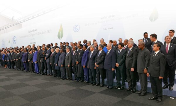 What is REDD+? - Coalition for Rainforest Nations