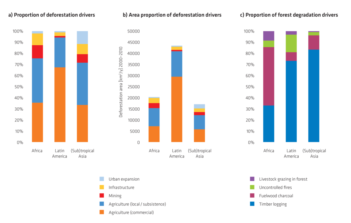 Deforestation Australia Graph Deforestation Australia Graph