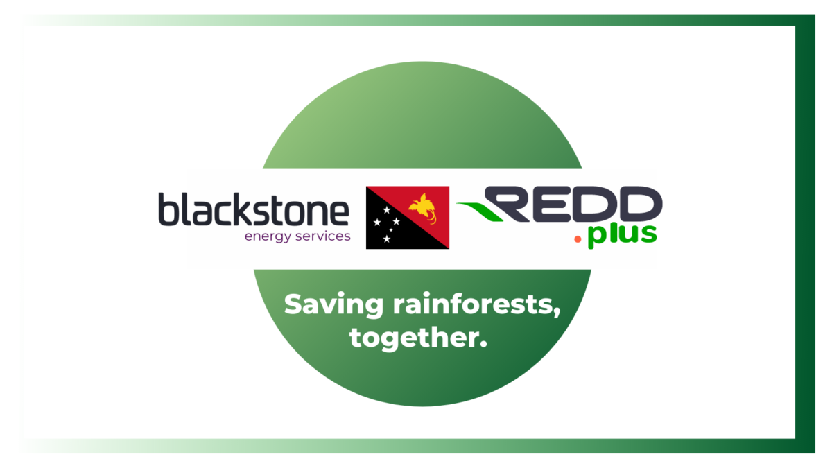 News: Blackstone Energy Services Buys First Sovereign Government Issued REDD+ Forestry Carbon ...
