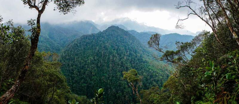 Coalition for Rainforest Nations