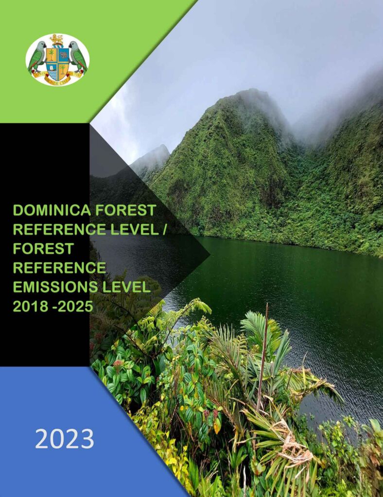CfRN Team and Dominica Restore Forests Through REDD+ - Coalition for ...