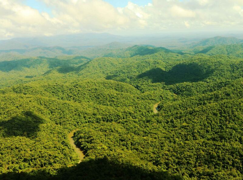 Honduras REDD+ Actions Can Help Stem Emigration - Coalition for ...