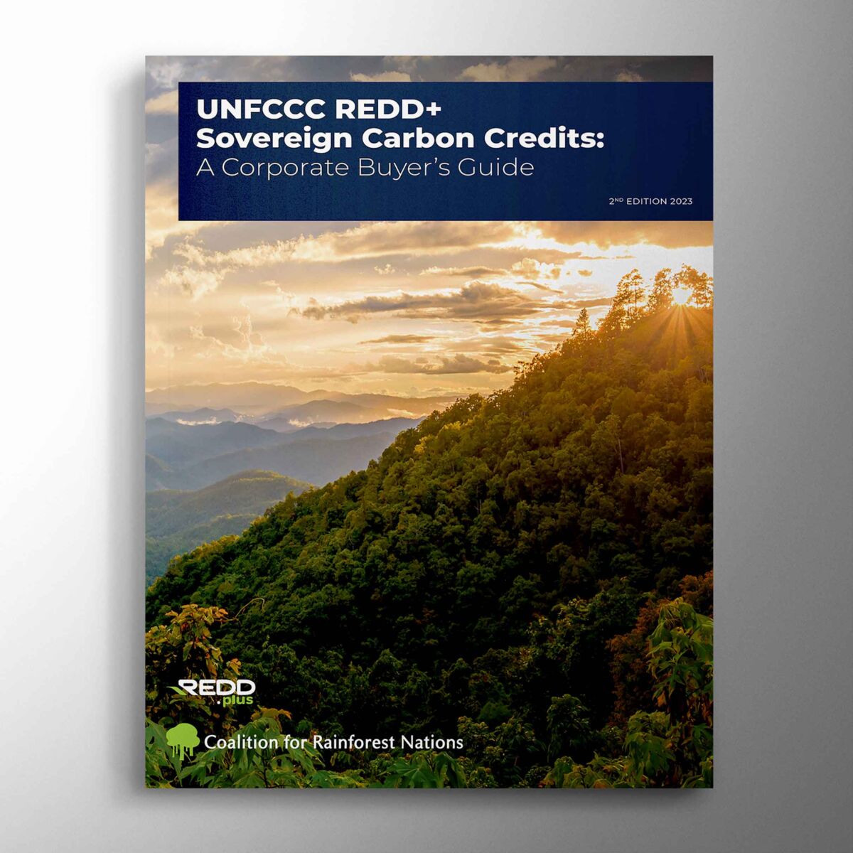 New Corporate Buyer’s Guide to purchasing UNFCCC REDD+ Sovereign Carbon Credits published ...