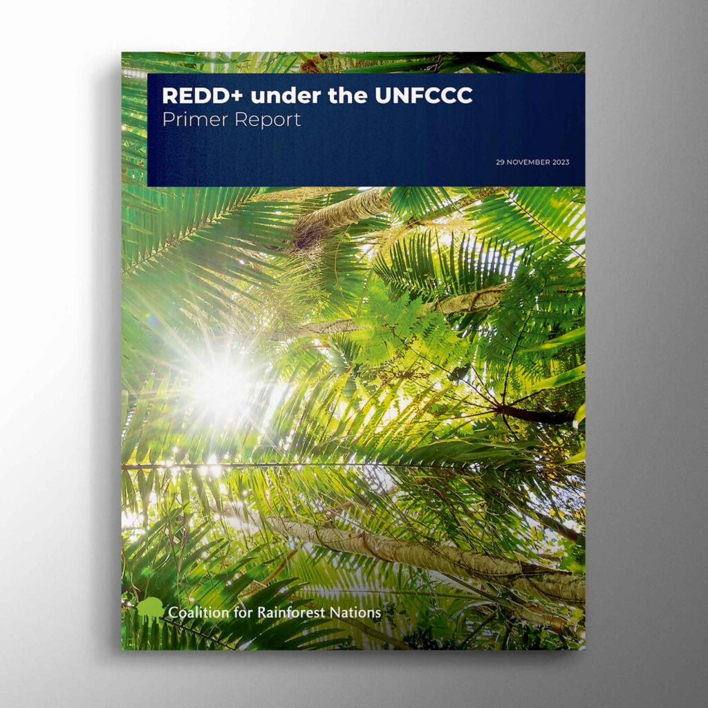 New Guidelines Report on UNFCCC REDD+ and Article 6 Carbon Credits ...