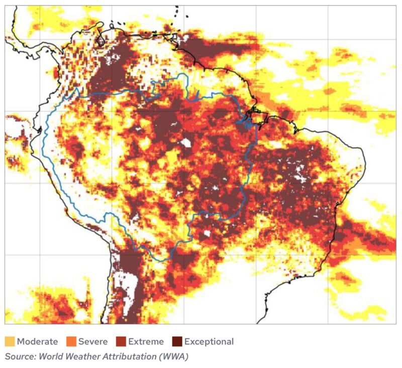 Deforestation and Degradation - Coalition for Rainforest Nations