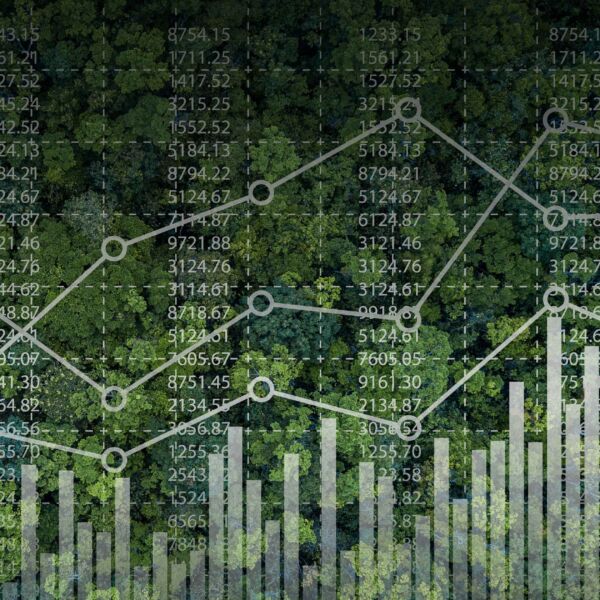 What is REDD+? - Coalition for Rainforest Nations