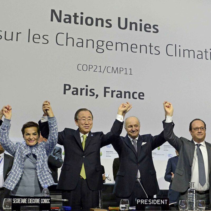 What is REDD+? - Coalition for Rainforest Nations